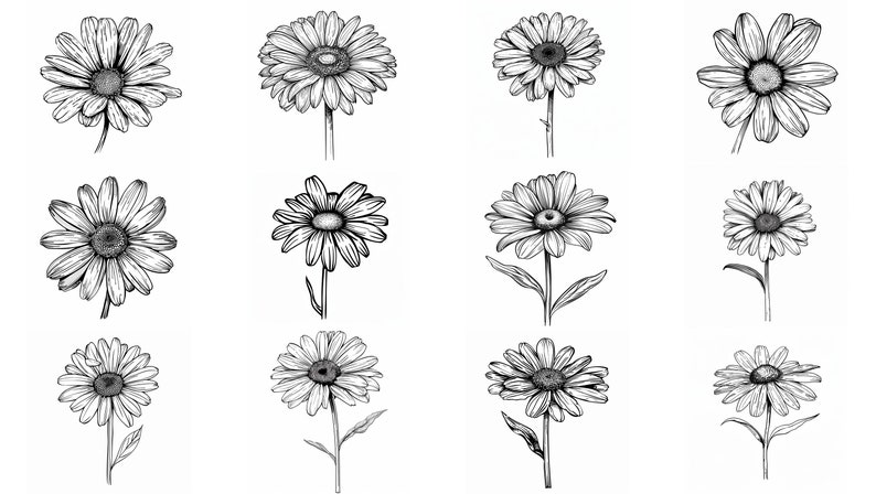 Daisy Flower SVG Pack: 172 Unique Designs (digital Download) - Etsy