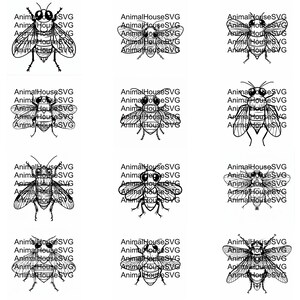 Cute Cicada SVG Pack 96 Unique Designs. Cute Cicada SVG, Cute Cicada ...