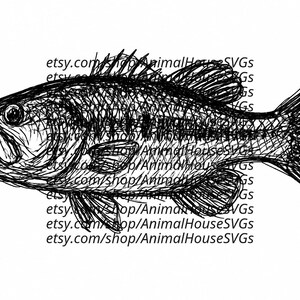 Largemouth Bass SVG Bundle: Laser Cut Files for Cricut, CNC, Glowforge ...