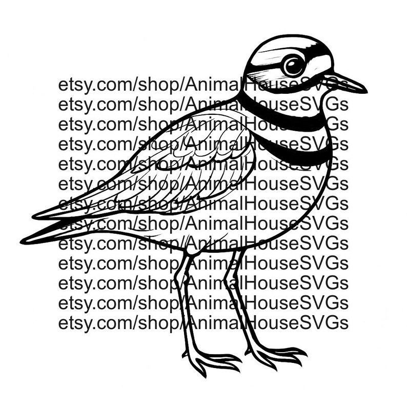 Killdeer Bird SVG Bundle: Laser Cut Files for Cricut, CNC, Sublimation ...