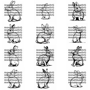 Bunny SVG Pack: 144 Unique Designs for Cricut, CNC (digital Download ...
