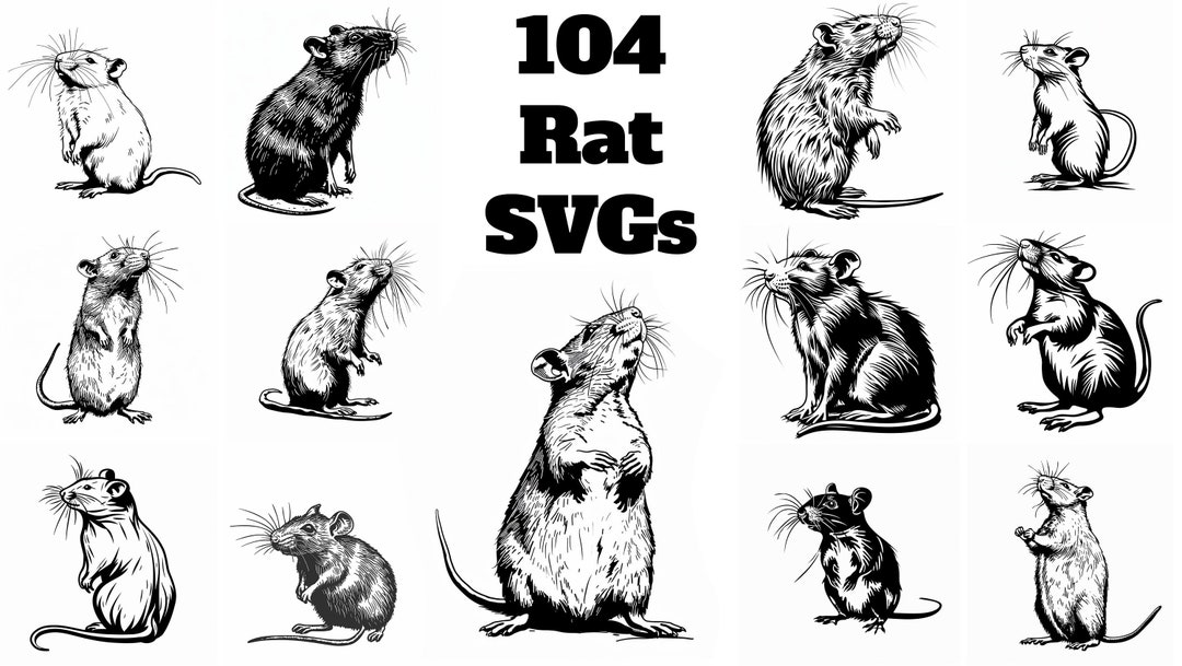 Rat SVG Bundle: 104 Unique Designs for Cricut, CNC (digital Download ...