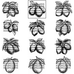 Mango SVG Pack: 124 Fruit Designs (digital Download) - Etsy