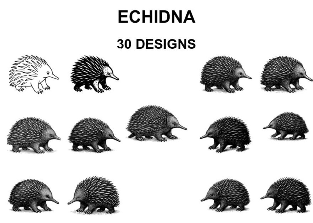 Echidna SVG Bundle: 30 Laser Cut Designs for Cricut, CNC, Glowforge - Etsy