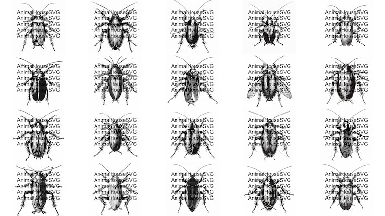 92 Cockroach SVG & PNG Designs: Insect Art Bundle (digital Download) - Etsy