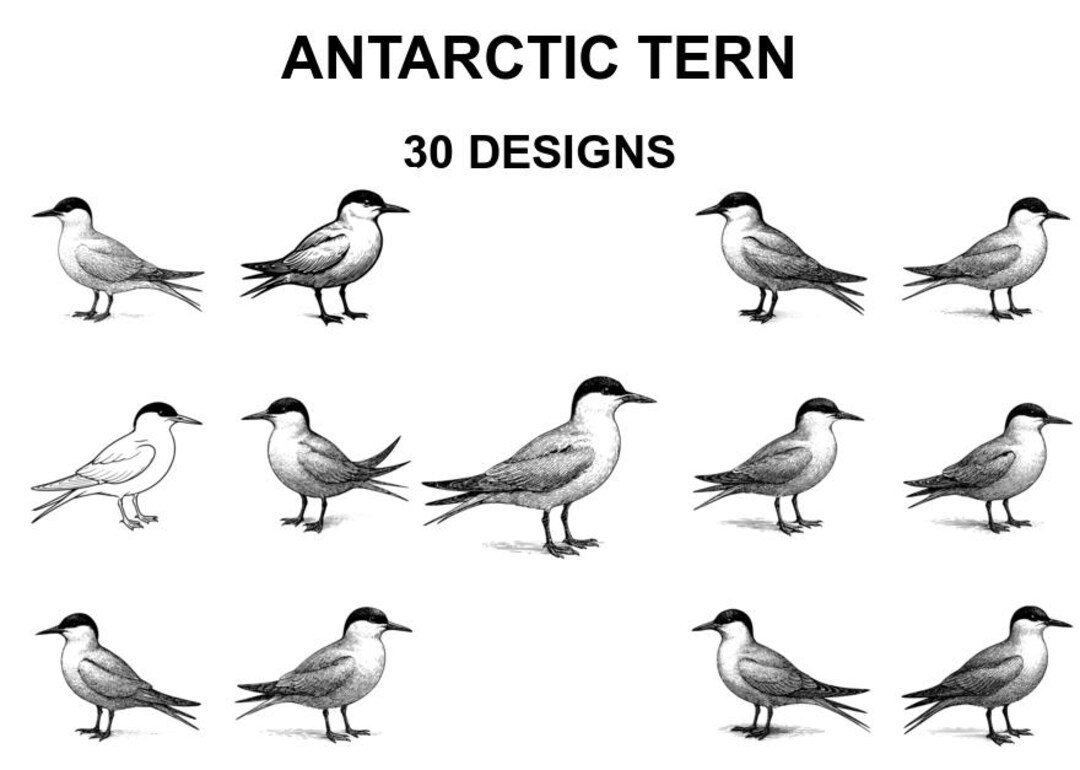 Antarctic Tern SVG Bundle: Laser Cut Designs for Cricut, CNC - Etsy