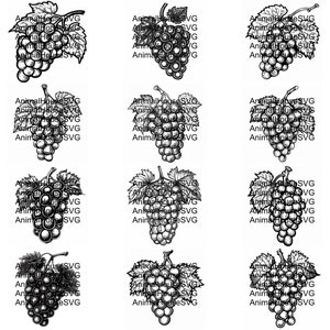 Grape SVG Pack 100 Designs. Grape SVG, Grape, Cricut SVG, Fruit ...