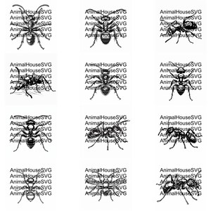 Ant SVG Pack 104 Unique Designs. Ant SVG, Ant JPG, Ant Lasercut, Ant ...
