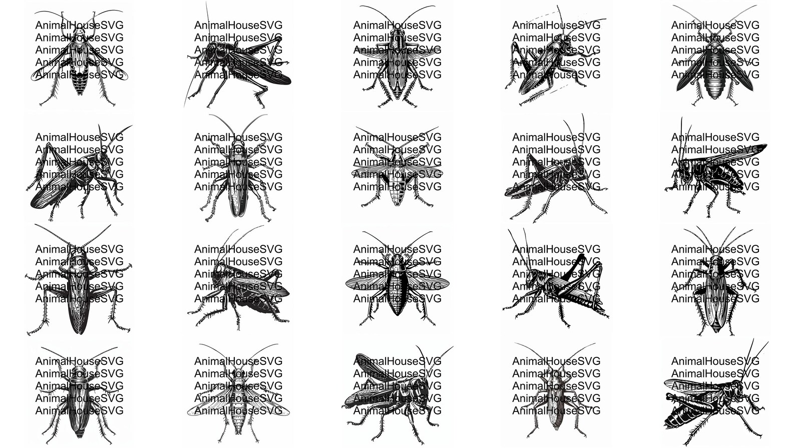 Cricket SVG Pack: 92 Unique Insect Designs (digital Download) - Etsy