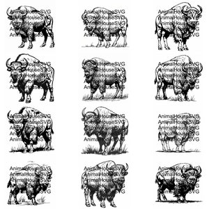 Buffalo SVG Pack 100+ Unique Designs. SVG, JPG, Cricut Svg, Cnc ...