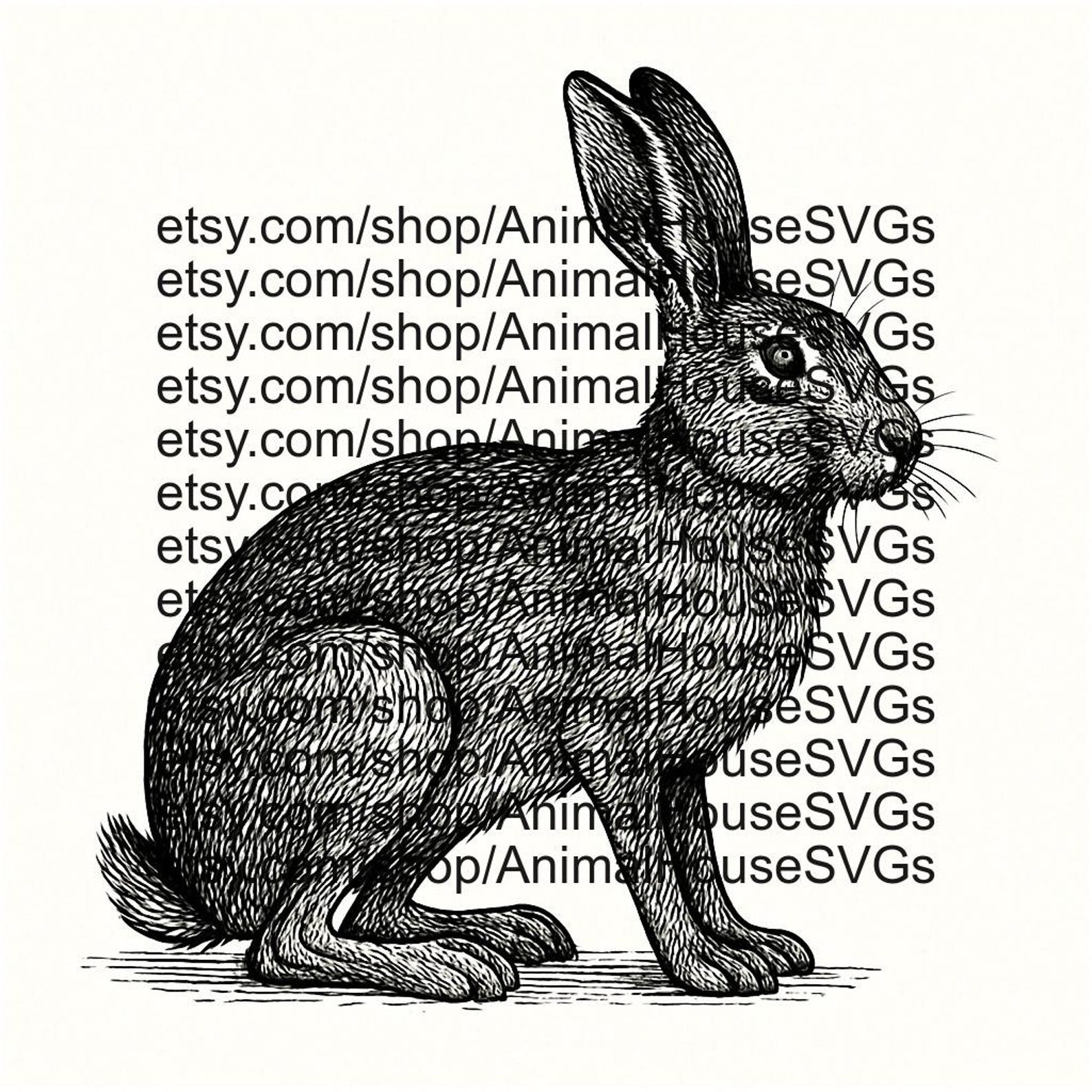 European Hare SVG Bundle – 30 Laser Cut Files | CNC, Cricut, Glowforge ...