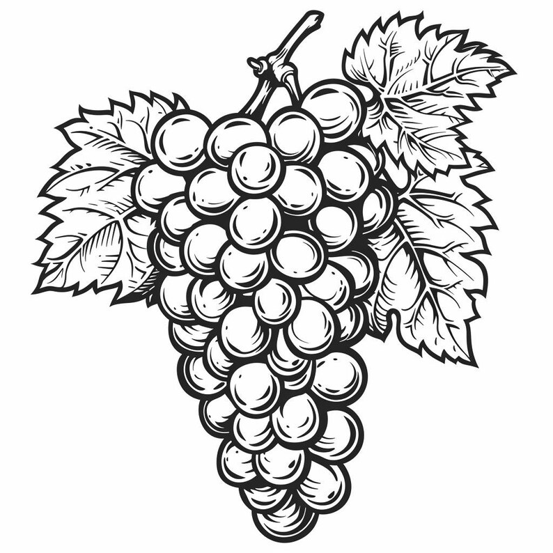 Grape SVG Pack 100 Designs. Grape SVG, Grape, Cricut SVG, Fruit ...