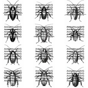 92 Cockroach SVG & PNG Designs: Insect Art Bundle (digital Download) - Etsy