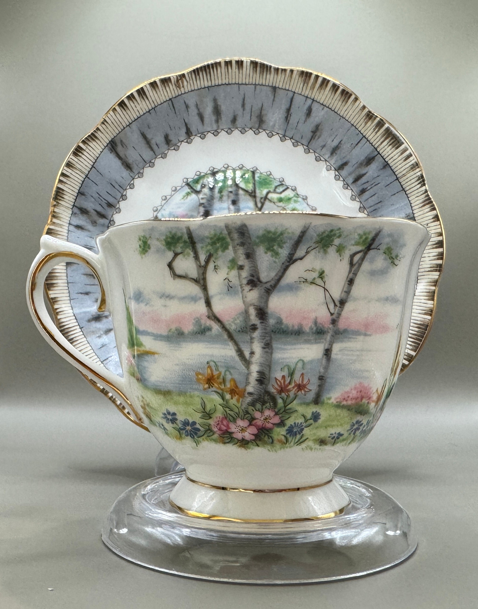 Royal Albert Silver Birch Teacup and Saucer Set - Etsy