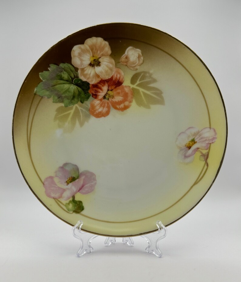 Beautiful Antique R.S. Silesia Hand-painted Porcelain Plate With Floral ...