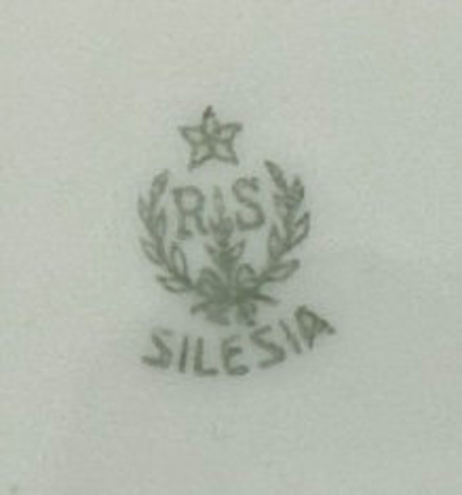 Beautiful Antique R.S. Silesia Hand-painted Porcelain Plate With Floral ...