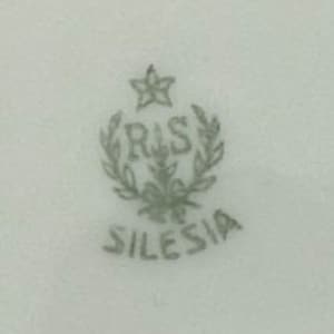 Beautiful Antique R.S. Silesia Hand-painted Porcelain Plate With Floral ...