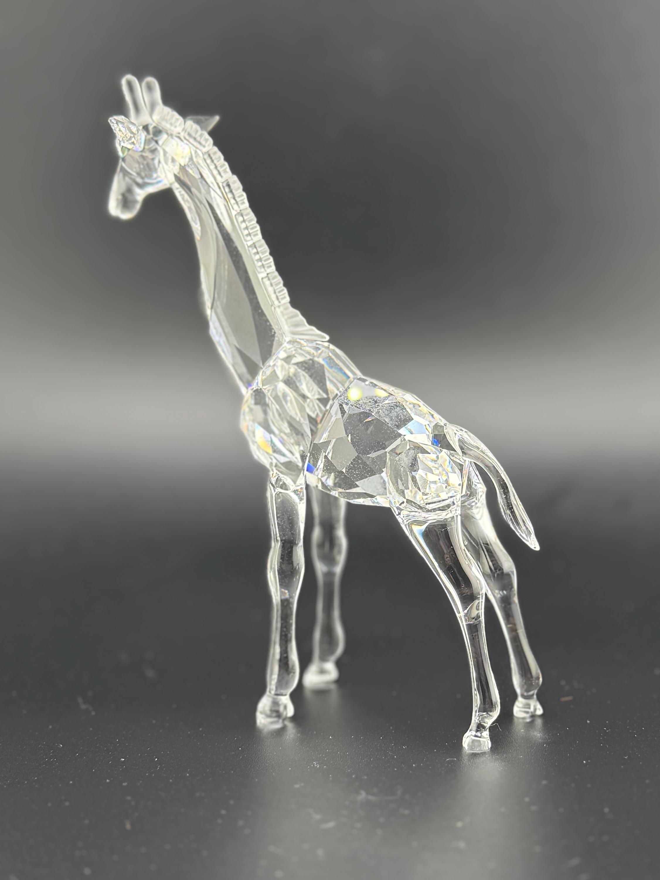 Swarovski Crystal Baby Giraffe Figurine – 236717 – Clear Crystal W ...