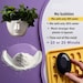 Super Plaster: Strong Alpha Powder for Art, Crafts & Molds - Etsy