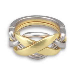 Cast Ring Metal Puzzle, Hanayama, Brain Teaser, Mechanical Puzzle, IQ ...