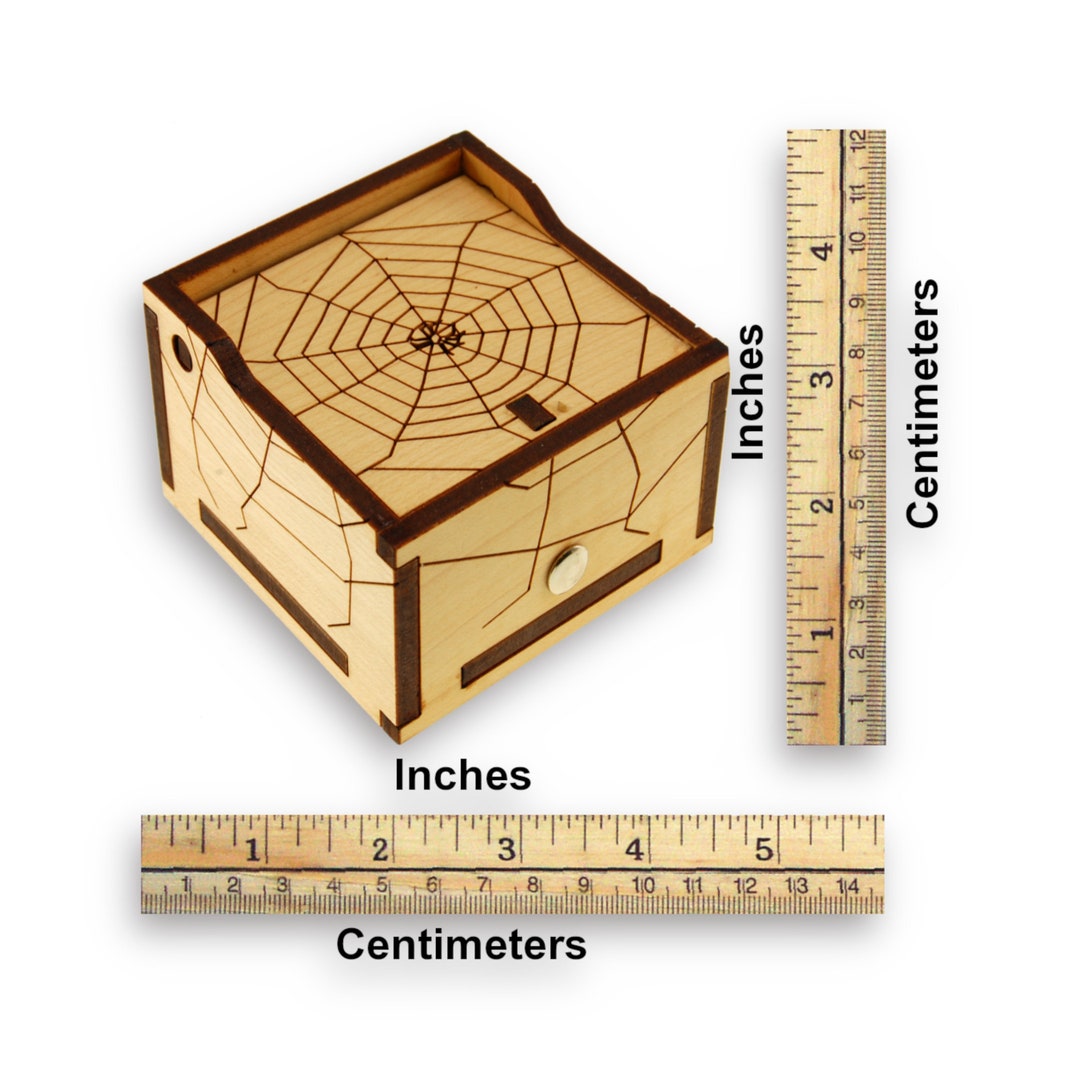 Einstein Box Wooden Puzzle, Jean Claude Constantin Wood Puzzle, Brain ...