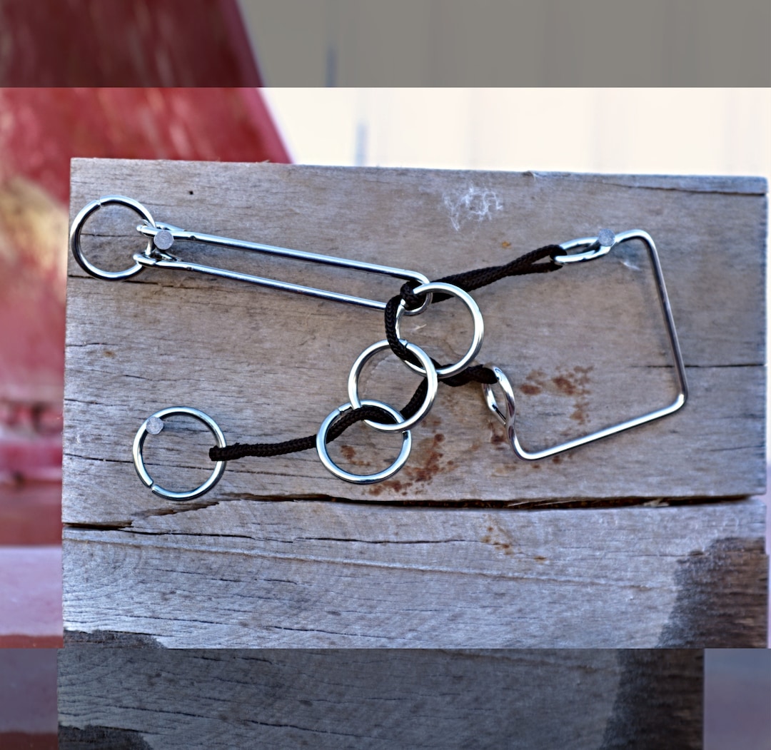 Annihilator Metal Wire Brain Teaser Puzzle by Puzzle Master is a Mind ...