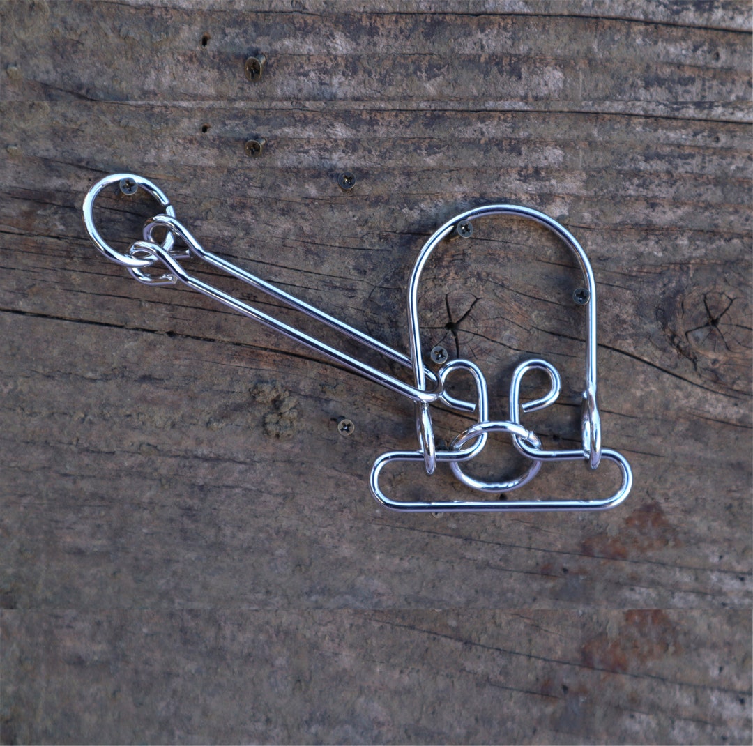 Beetle Bug Wire Puzzle, Brain Teaser, Game, Mechanical Puzzle, IQ Logic ...