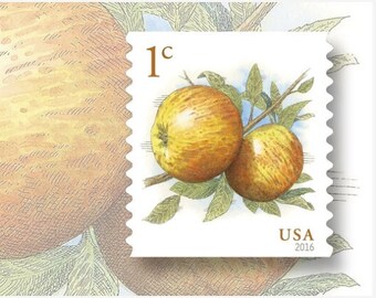 1 Cent Us Stamp | Etsy