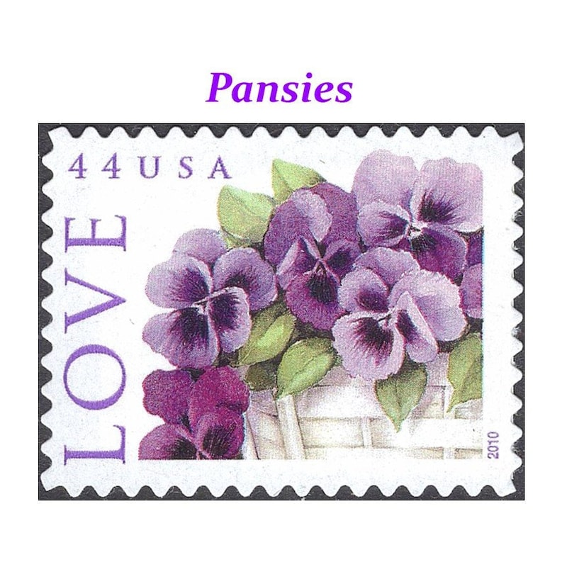 Pansy Stamp - Etsy