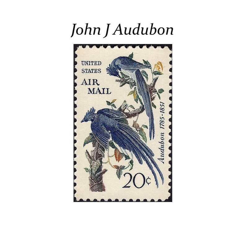 Pack of 10 .. 20c John J Audubon Columbia Jays Airmail | Vintage Unused ...
