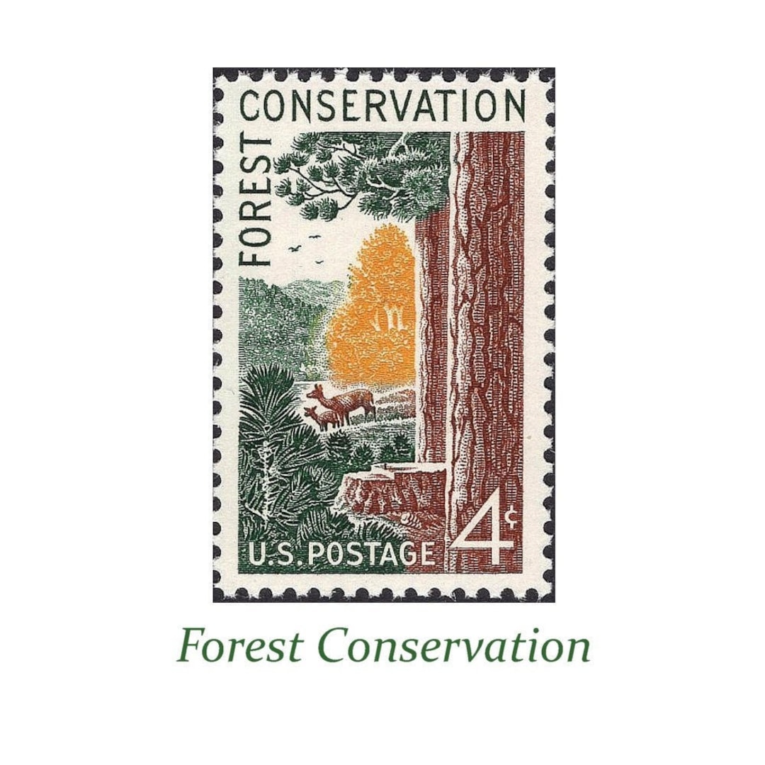 Pack of 10 | 4c Forest Conservation | Vintage Unused US Postage Stamps ...