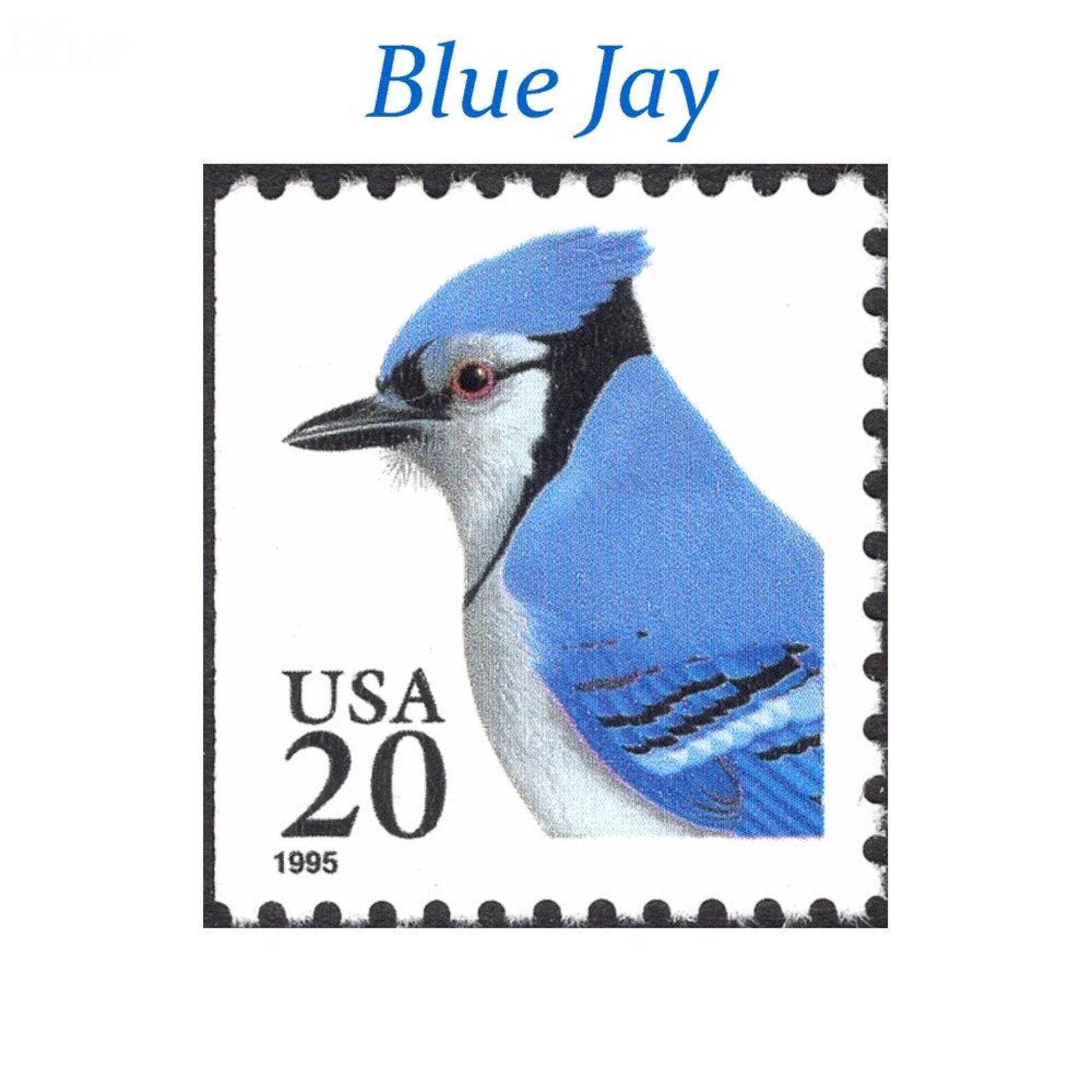 TEN 20c Blue Jay Stamp | Pack of 10 Vintage Unused Postage Stamps ...