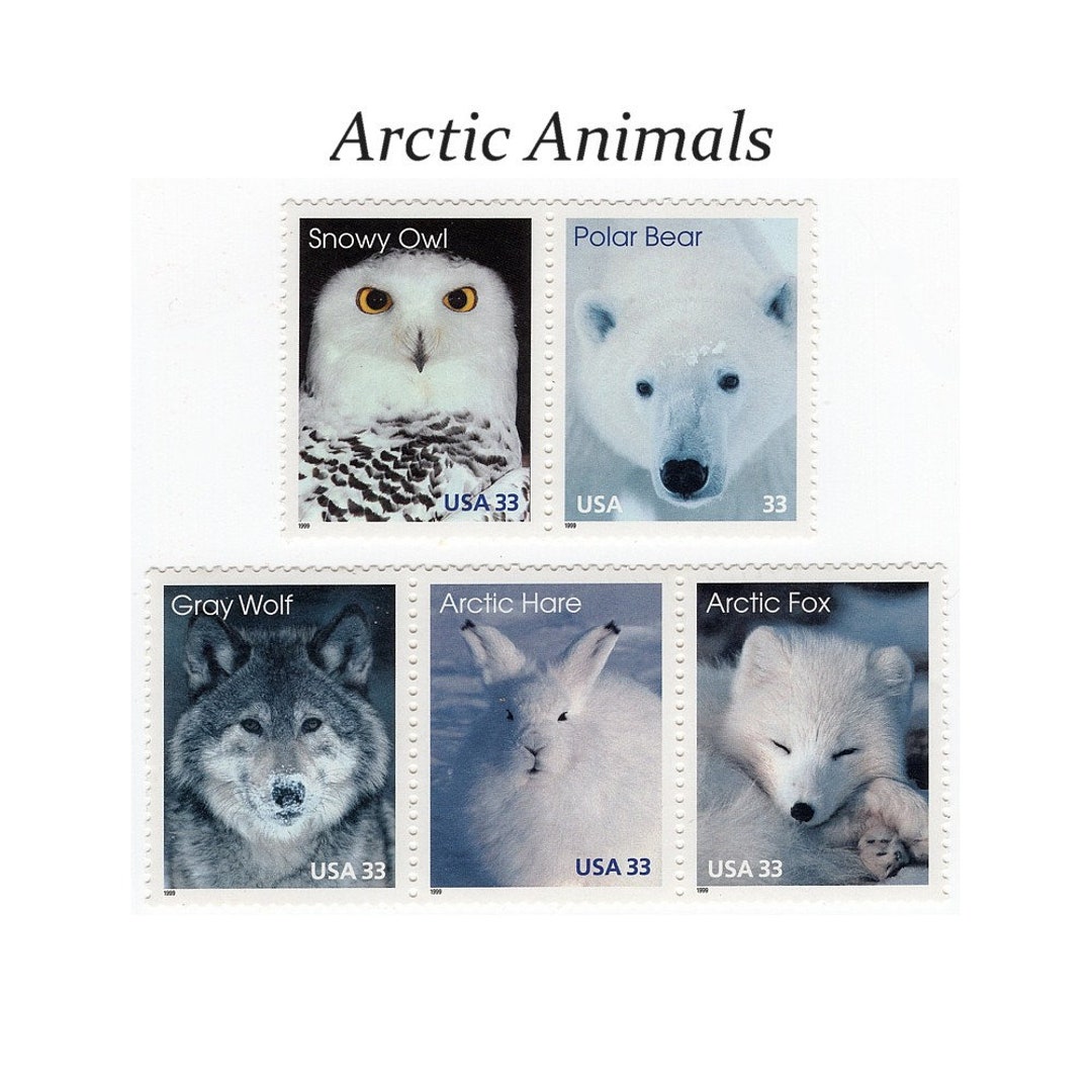 33c Arctic Animals Stamps .. Set of 5 Stamps .. Vintage Unused US ...