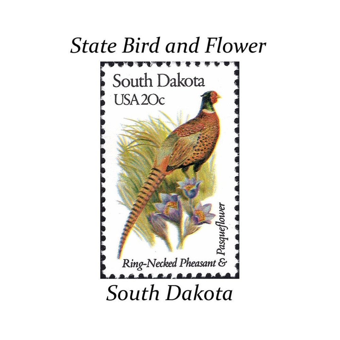 Five 20c SOUTH DAKOTA State Bird and Flower Stamps | Vintage Unused US ...