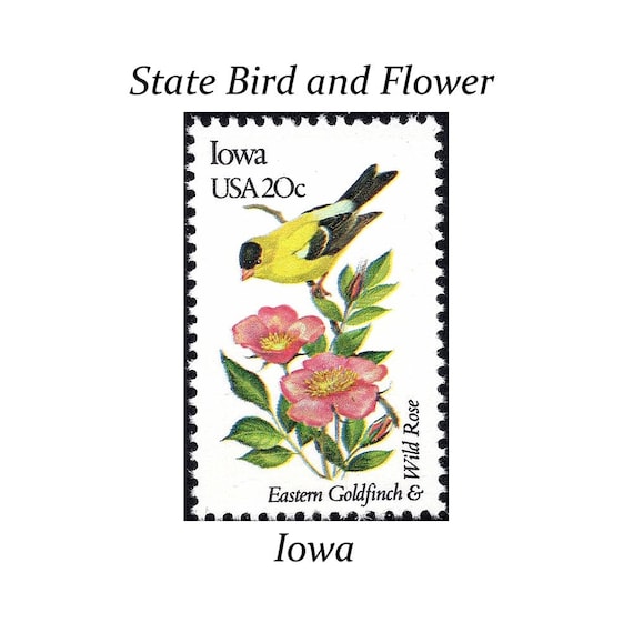 Five 20c IOWA State Bird and Flower Stamps Vintage Unused US | Etsy