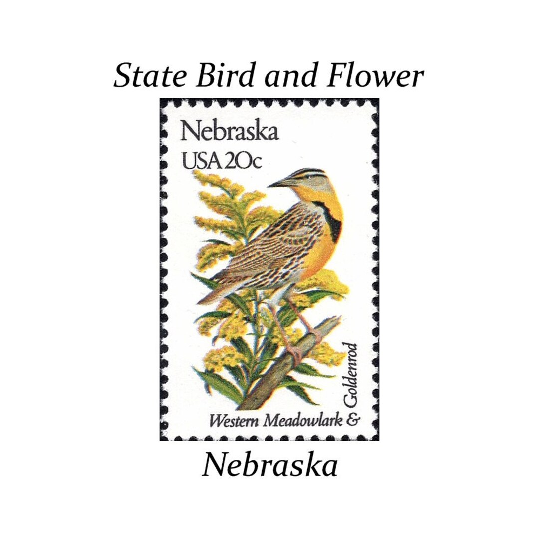Five 20c NEBRASKA State Bird and Flower Stamp | Vintage Unused US ...