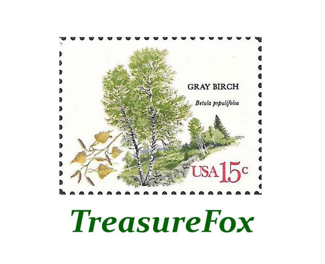 TEN 15c Gray Birch Tree Stamps .. Vintage Unused US Postage Stamp ...