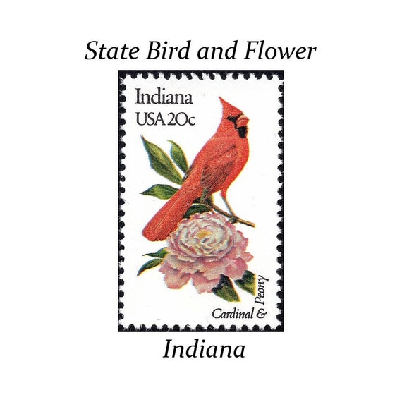 Five 20c INDIANA State Bird and Flower Stamps Vintage Unused | Etsy