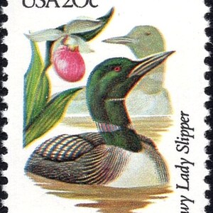 Five 20c MINNESOTA State Bird and Flower Stamps | Vintage Unused US ...