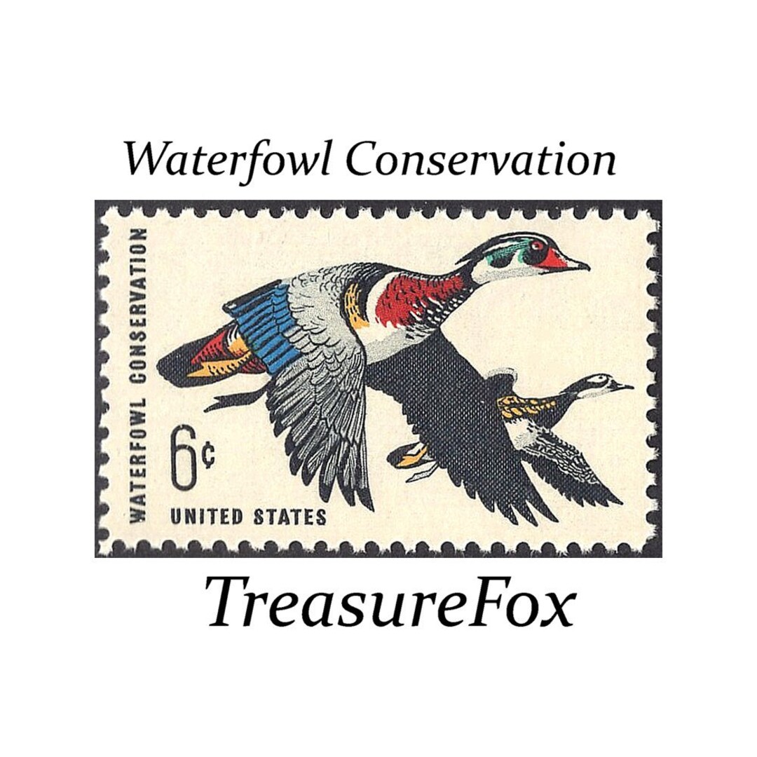 6c Waterfowl Conservation Stamp .. Unused US Postage Stamps .. Pack of ...
