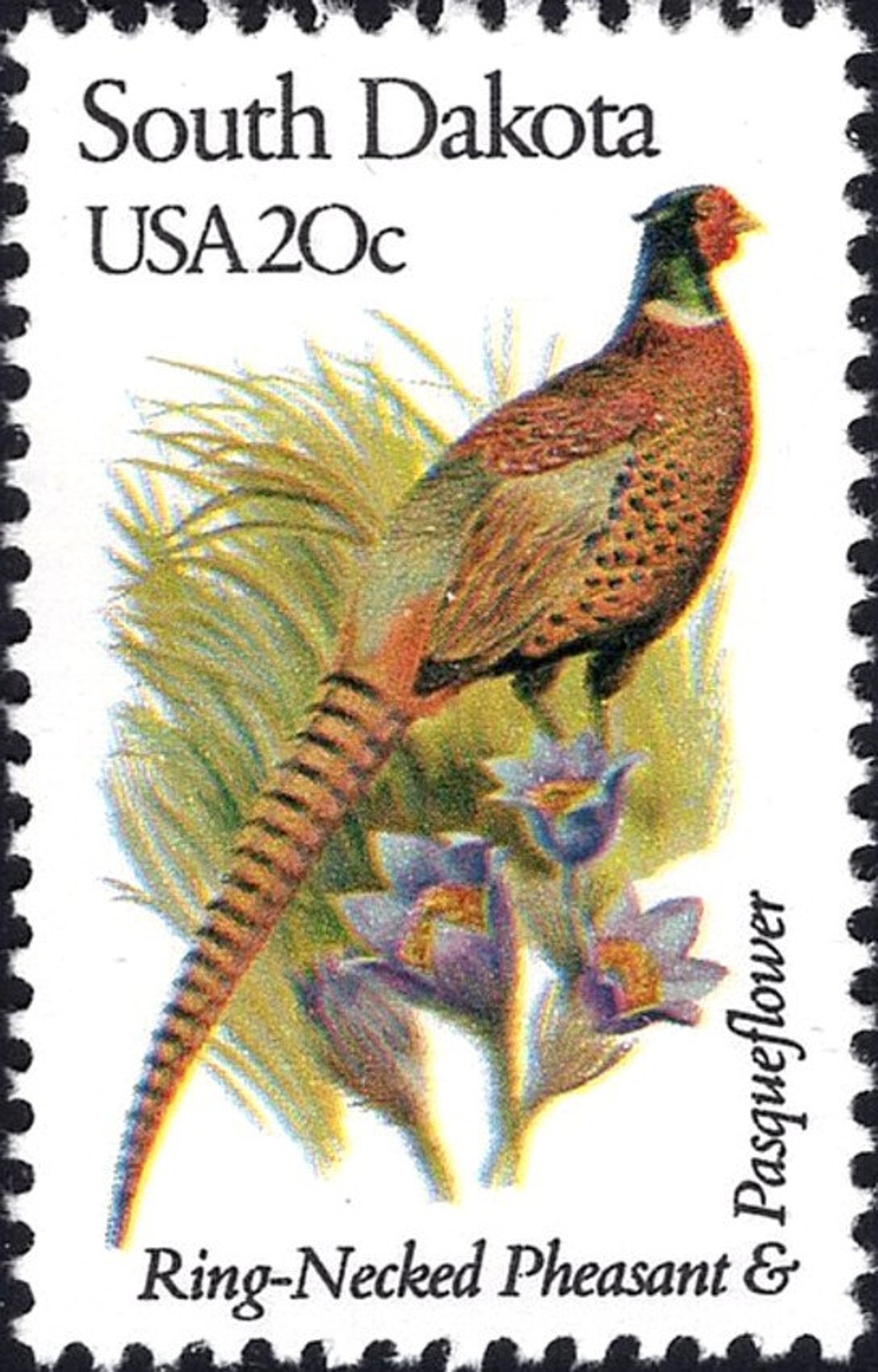 Five 20c SOUTH DAKOTA State Bird and Flower Stamps Vintage | Etsy