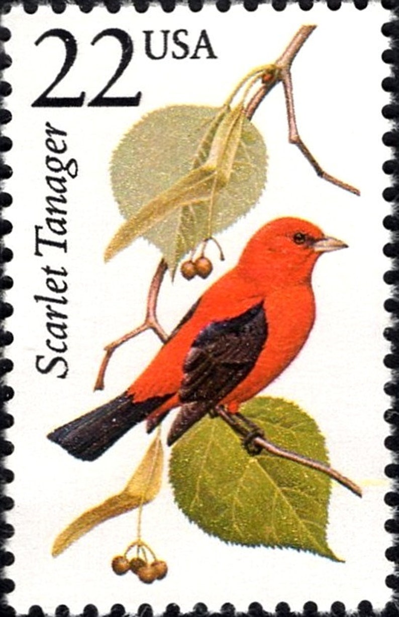 Five 22c Scarlet Tanager Stamp Unused US Postage Stamp | Etsy Five 22c Scarlet Tanager Stamp Unused US Postage Stamp | Etsy