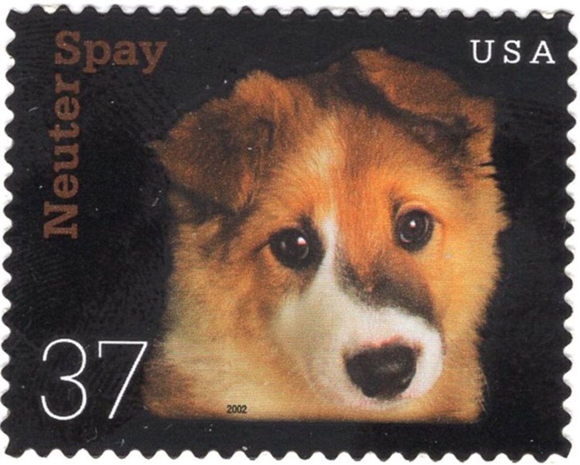 FIVE 37c Puppy Stamps .. Pack of 5 Stamps .. Vintage Unused US Postage ...