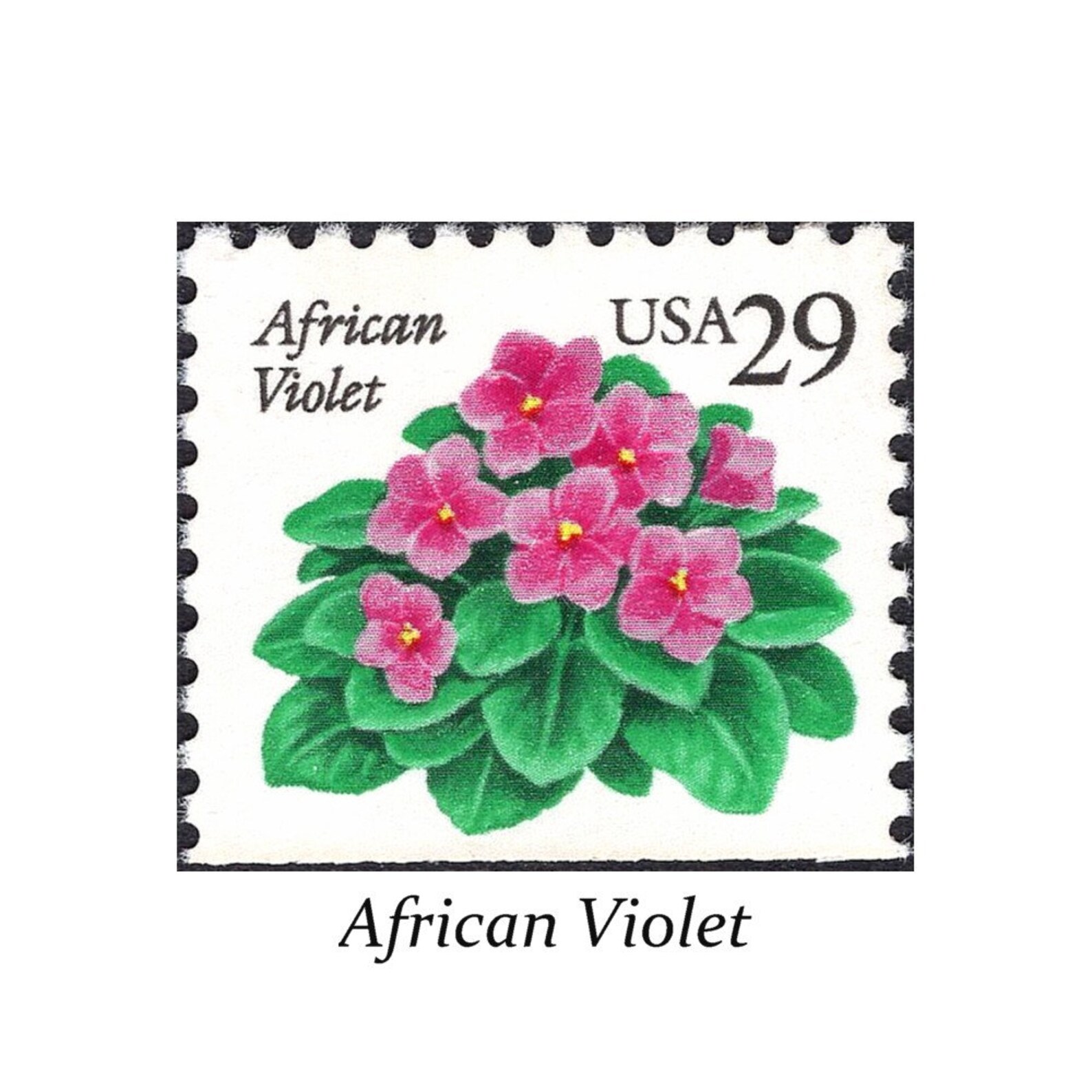 TEN 29c African Violet Stamp Pack of 10 Vintage Unused | Etsy