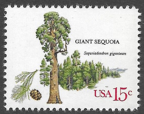 TEN 15c Giant Sequoia Tree Stamps .. Vintage Unused US Postage | Etsy