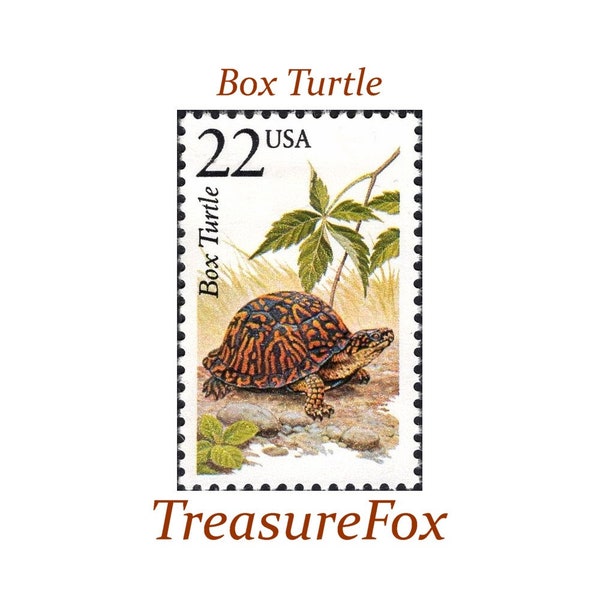 Turtle Stamp - Etsy