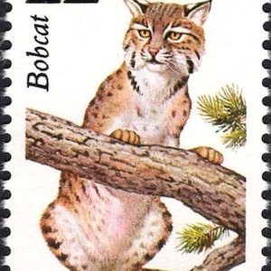 Five 22c Bobcat Stamps .. Unused US Postage Stamps .. Pack of 5 Stamps ...