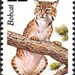 Five 22c Bobcat Stamps .. Unused US Postage Stamps .. Pack of 5 Stamps ...