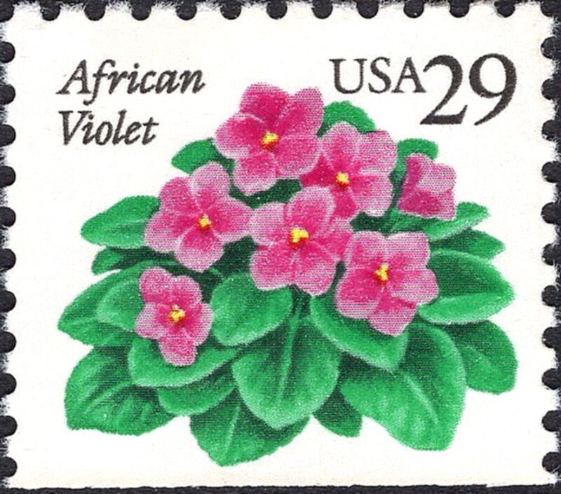 TEN 29c African Violet Stamp Pack of 10 Vintage Unused | Etsy