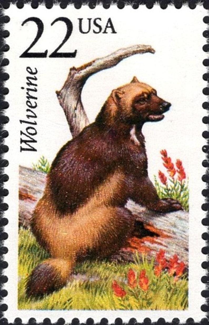 Five 22c Wolverine Stamp Unused US Postage Stamps Pack of - Etsy Five 22c Wolverine Stamp Unused US Postage Stamps Pack of - Etsy
